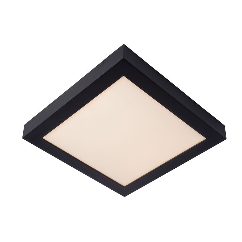 Plafón de techo moderno negro, Brice, 30W, 3000K LED, IP44 | Lampgiant.es